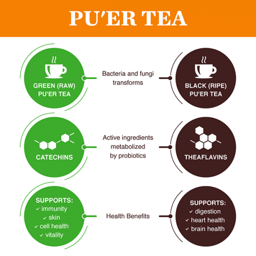 The Ultimate Guide to Pu Erh Tea & Its Benefits | PIQUE