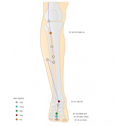 TCM Approach to Supporting the Immune System | THE FLOW by PIQUE