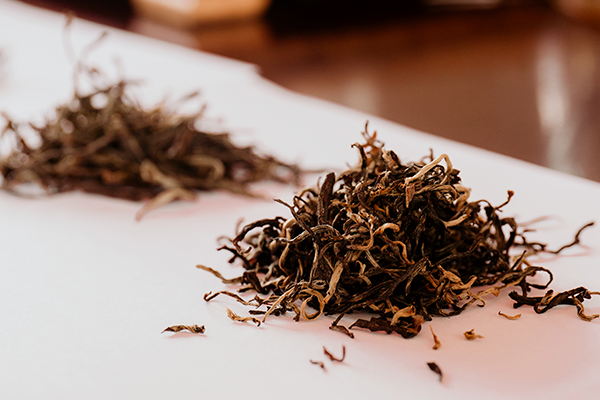 The 7 Best Teas in the World You Should Try | PIQUE