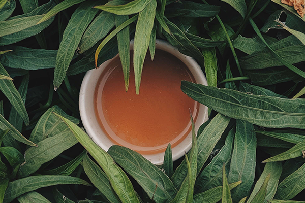 Tea Drunk: Everything You Need to Know | PIQUE